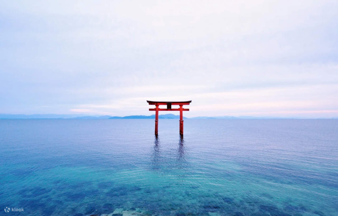 Miho Museum of Art & Former Bamboo Forest & Lake Biwa Shirahige Shrine Day Tour - Klook